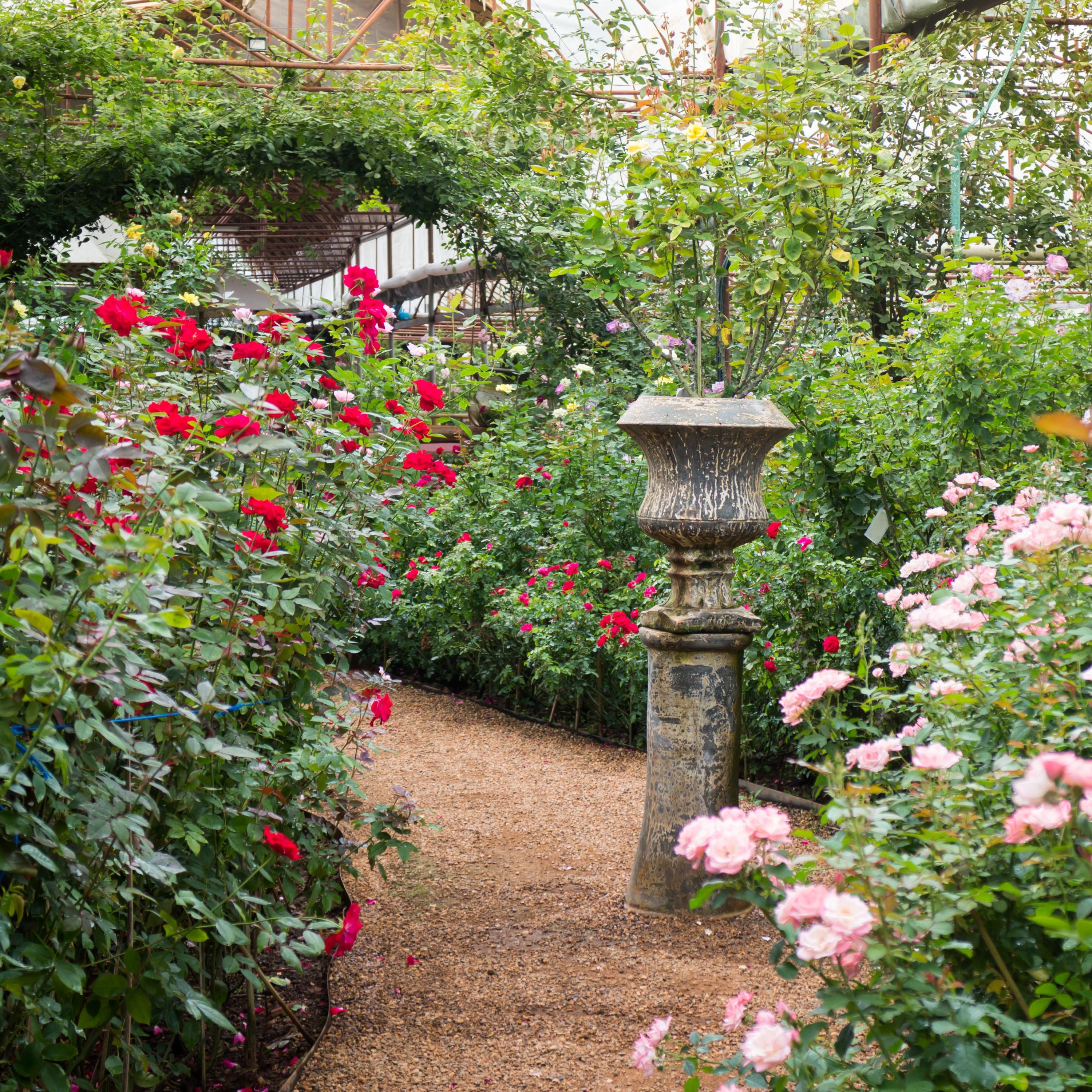 7 Valentine's Day Design Ideas for a Romantic Garden – ServeScape